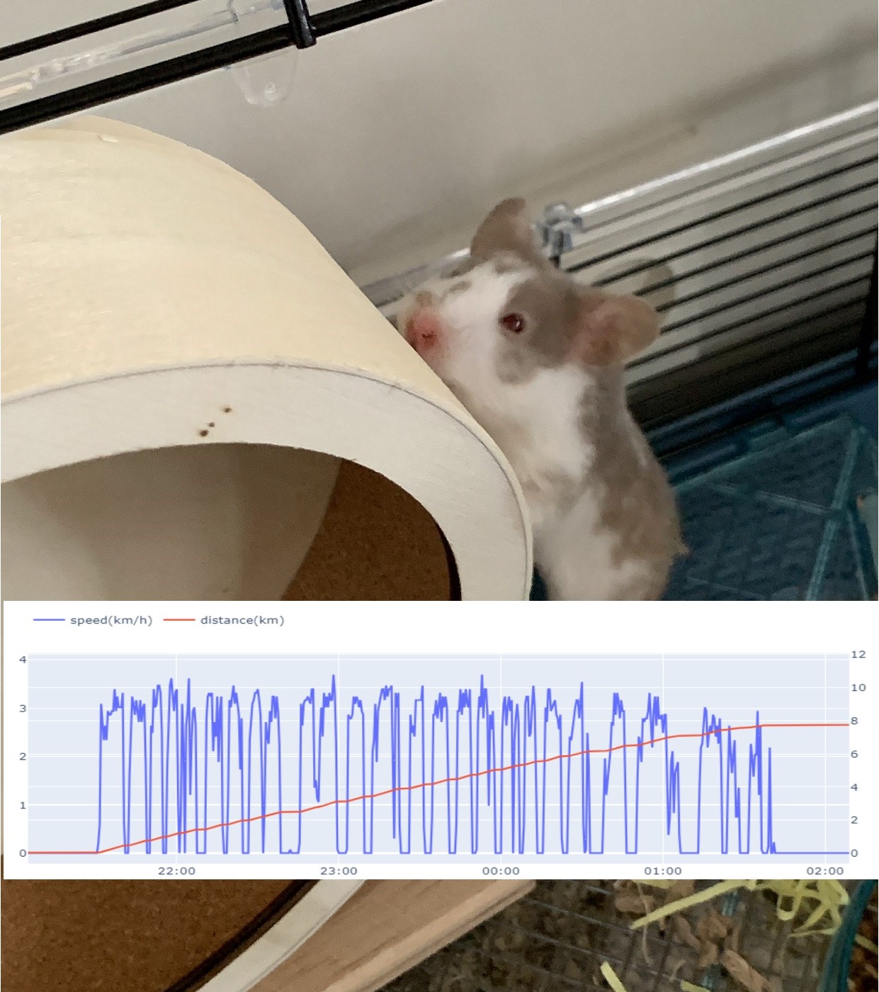 How to measure your Hamster's running with wireless IoT | feng.blog();